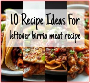 Top 10 Recipe Ideas For Leftover Birria Meat [+Tips] - Scrappy Eats
