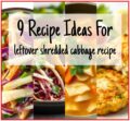 Top 9 Recipe Ideas For Leftover Shredded Cabbage [+Tips] - Scrappy Eats